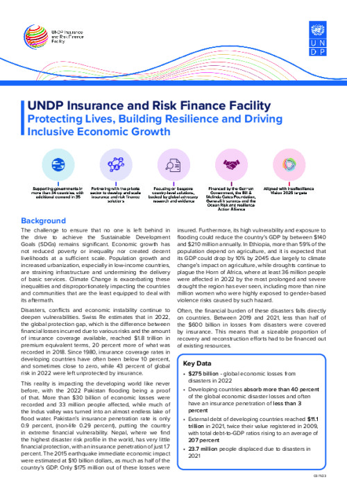 UNDP IRFF Programmatic Factsheet | Sustainable finance hub